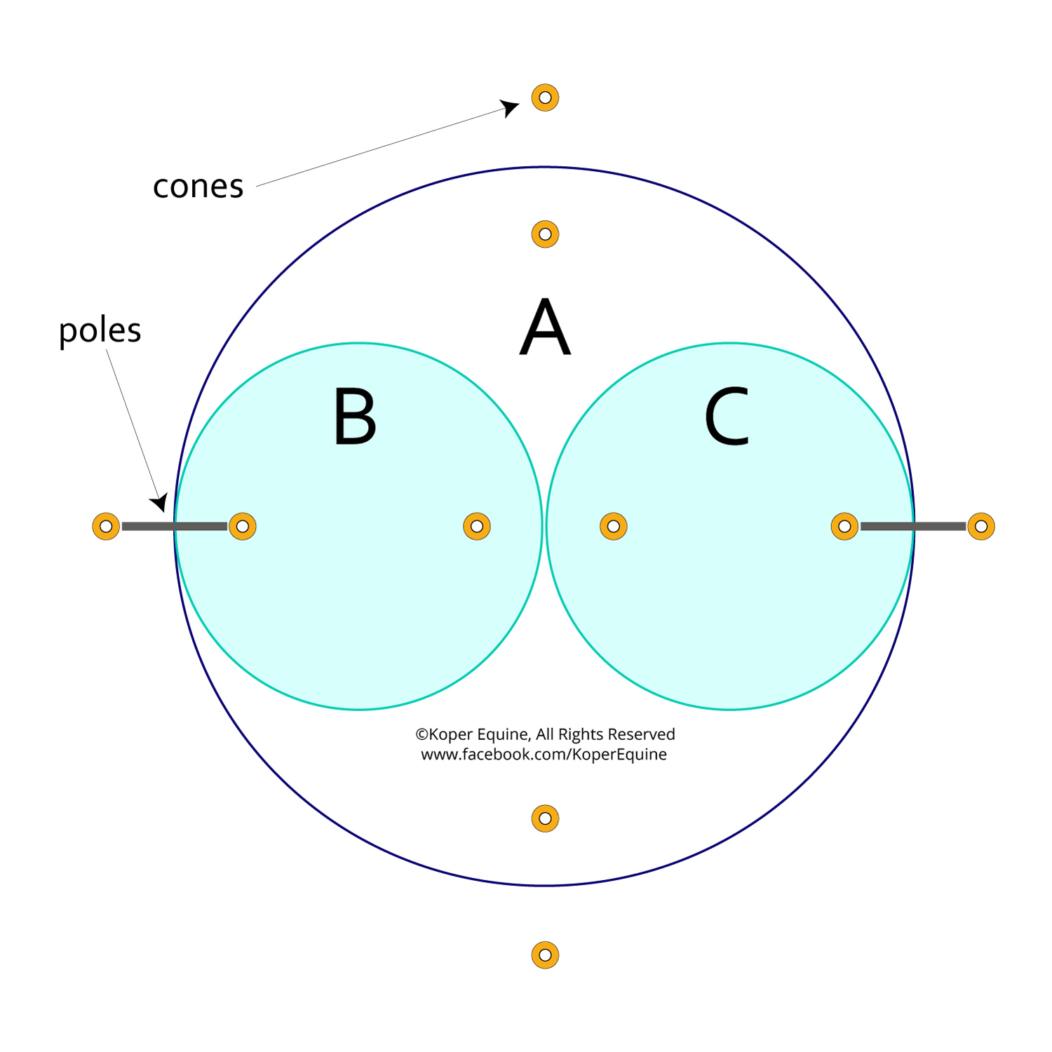 circles—training-riding-exercise – Koper Equine