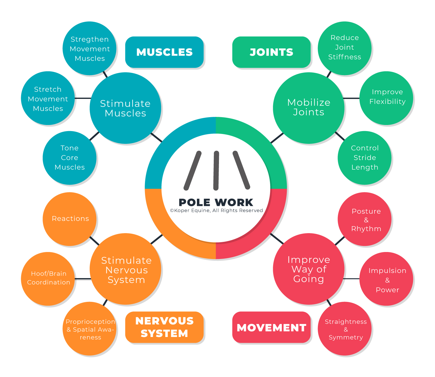 Pole-Work-Chart – Koper Equine
